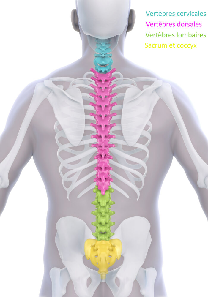 Le louedec | Lombalgies